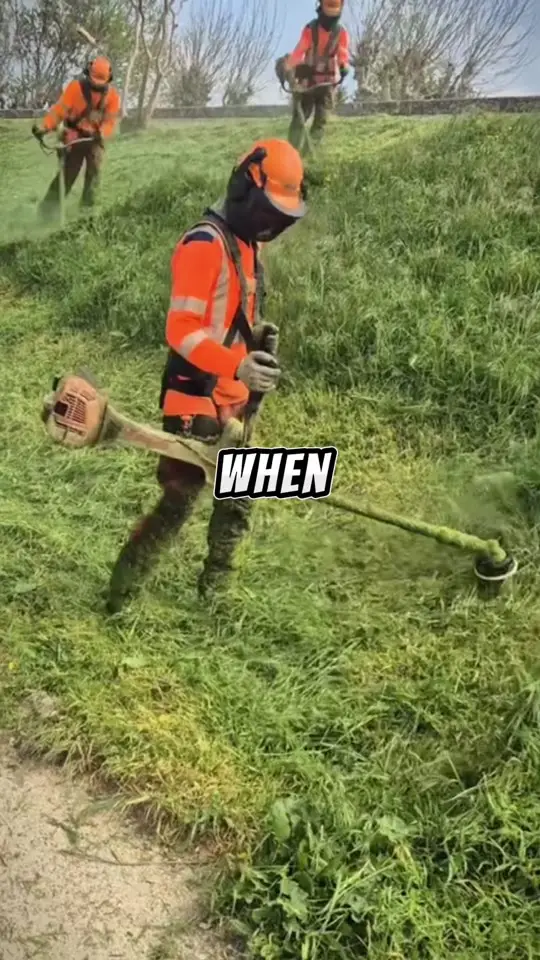 tyujkl (@tyujkl4) - Urlebird