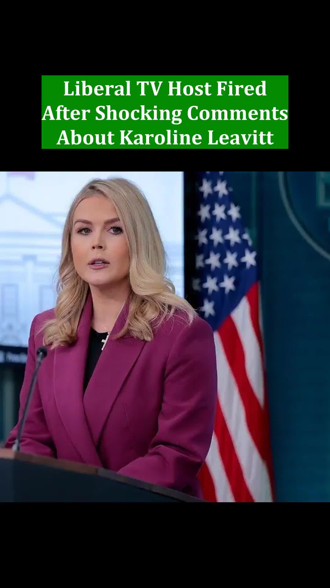 Liberal TV Host Fired After Shocking | user6150265975721 ...