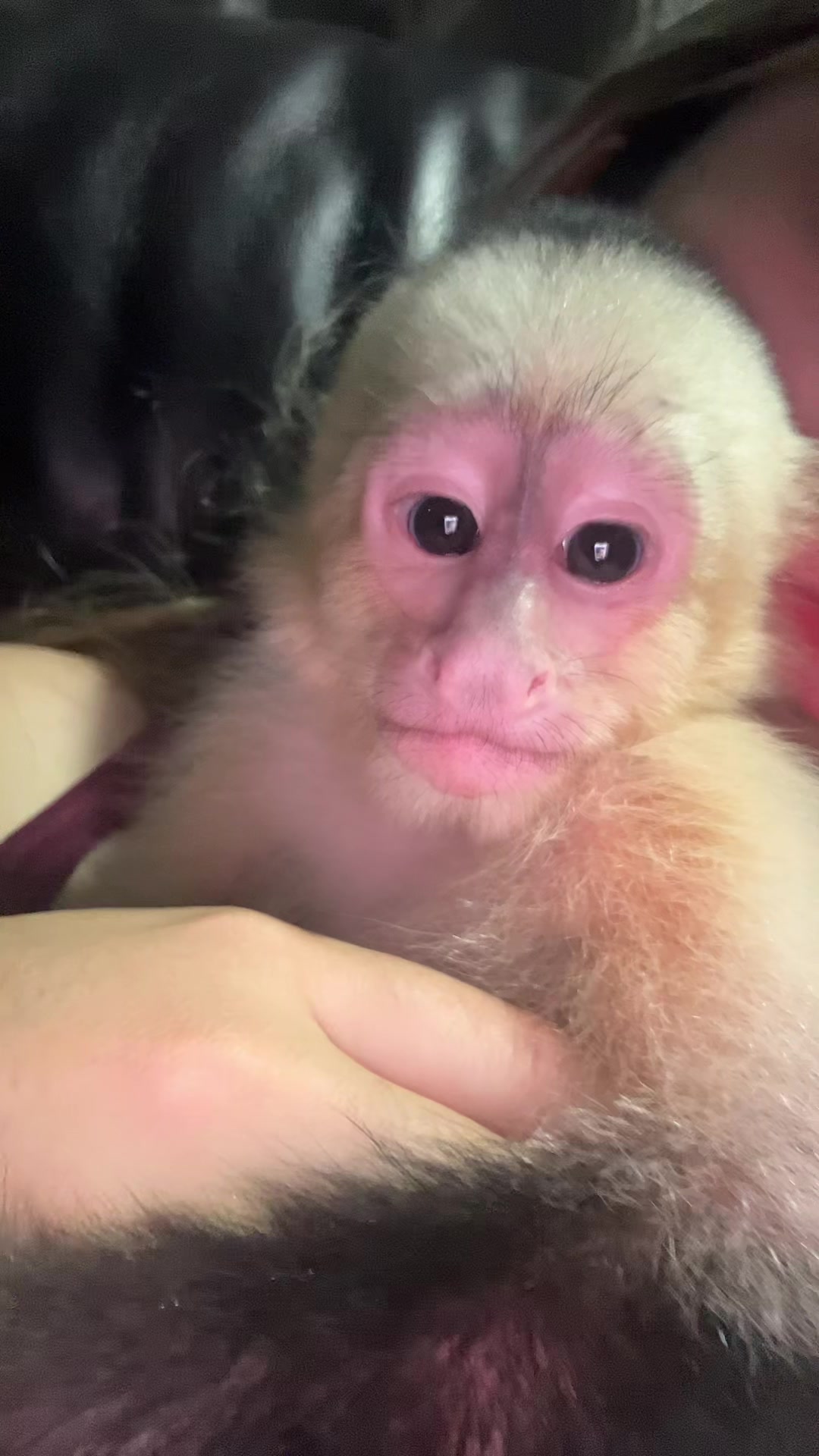 Baby.Suni (@baby.suniii) - Urlebird