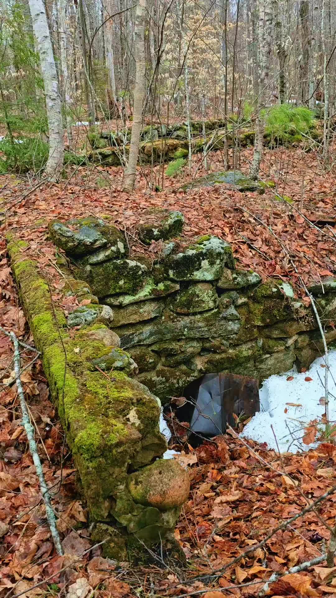 1800s early 1900s homestead. The area | WanderingMaine (@wanderingmaine)