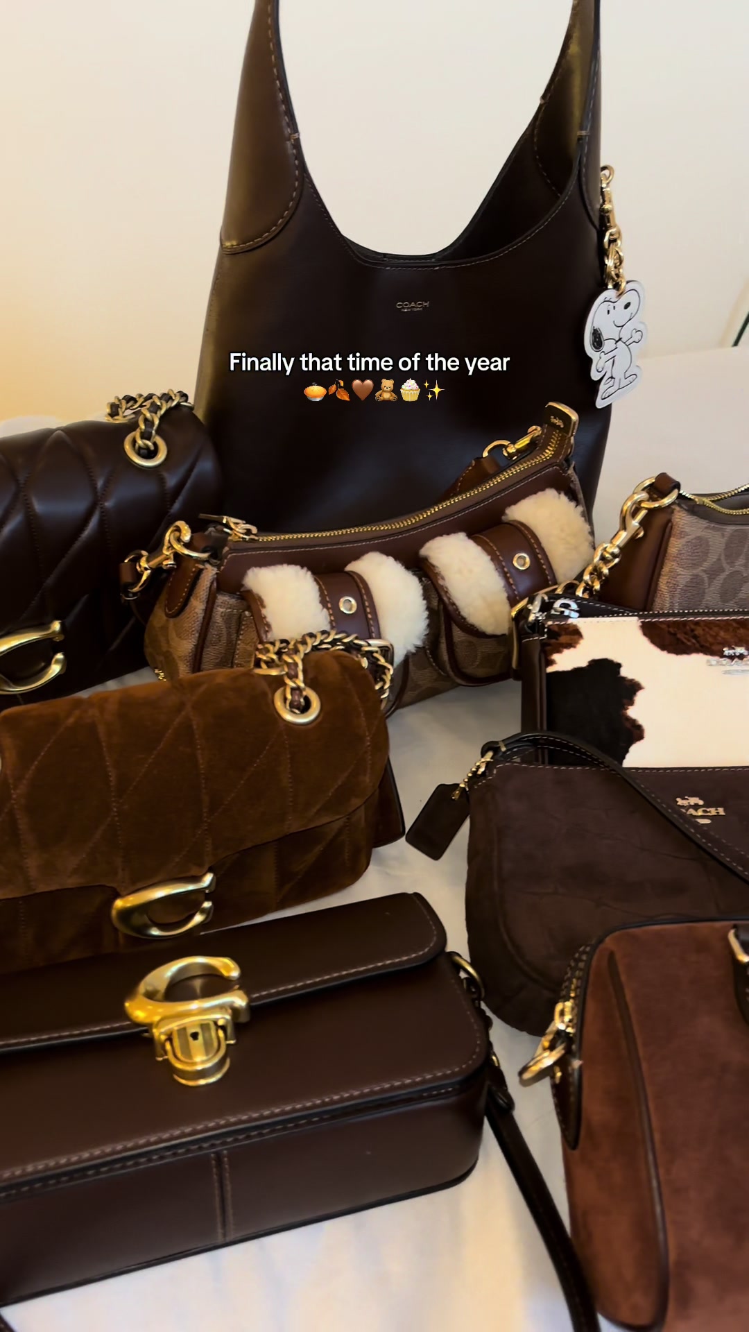 Korean Panda Live #pandalive #jinricp | Kpop Media (@kpopmedia2025)