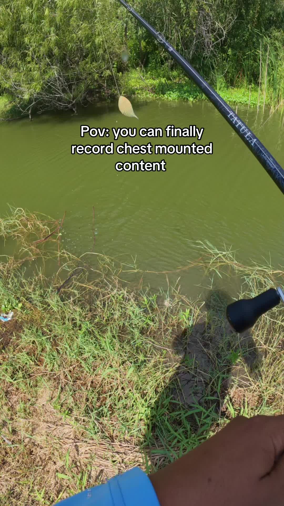 Grab a chair and try this beginner | Petra Genco (@petragenco)