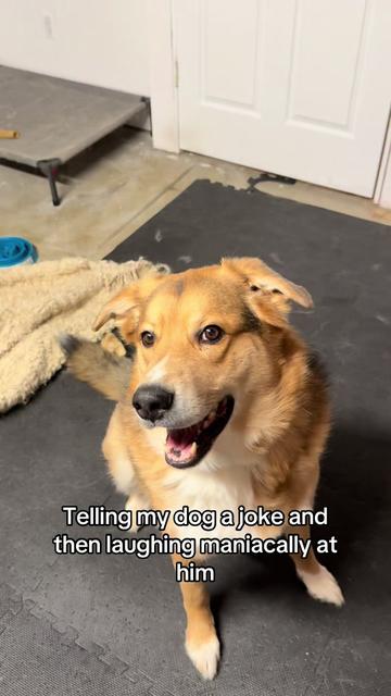 Did you know Yellowknife NT Canada has | miriamkb (@miriam_k_b)