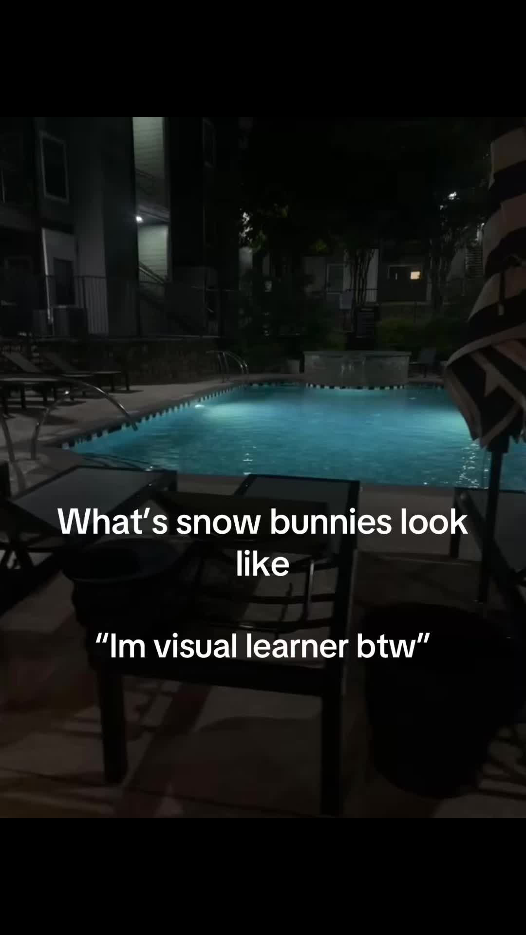 #snowbunny - TikTok Hashtag