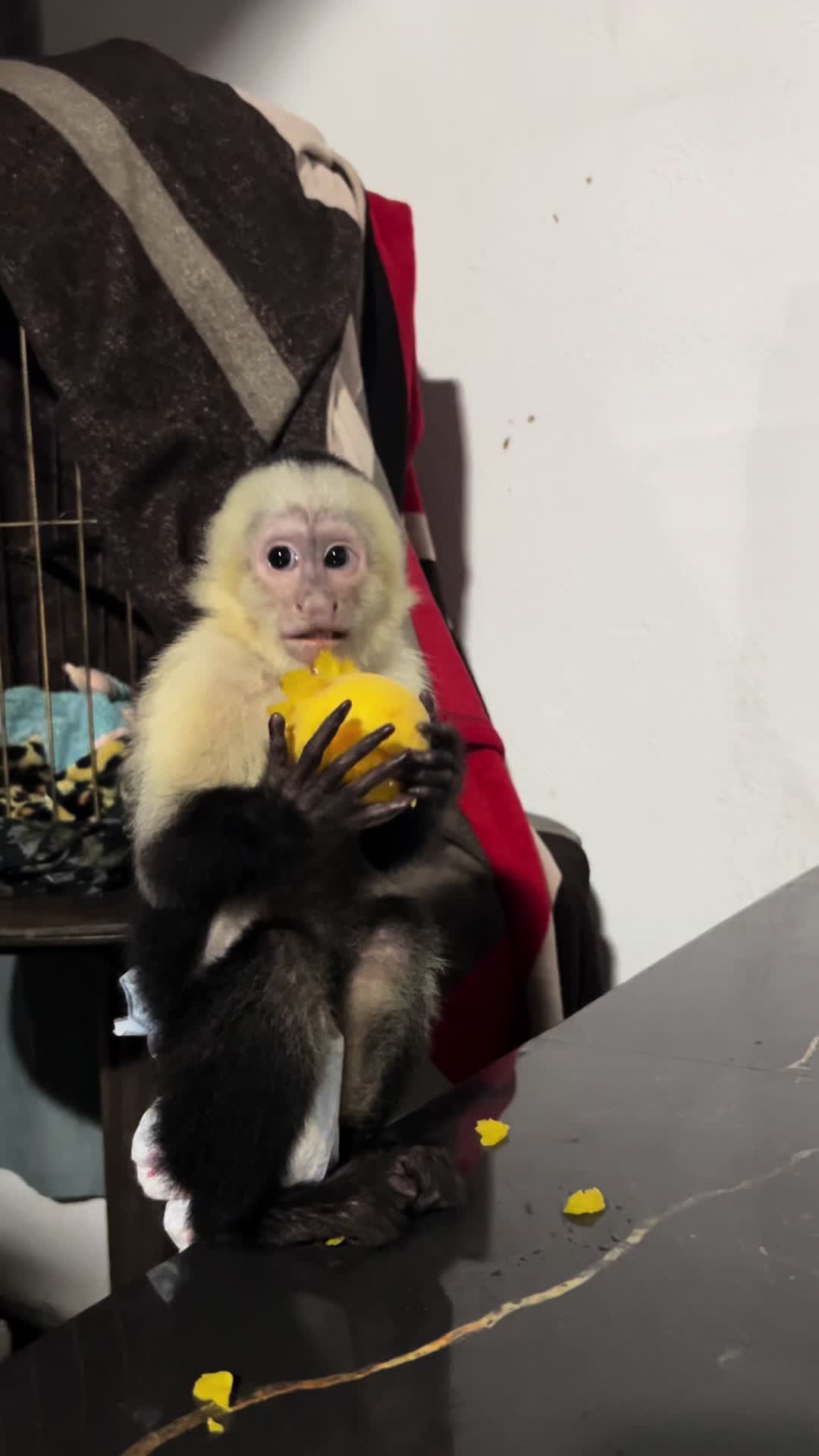 Baby.Suni (@baby.suniii) - Urlebird