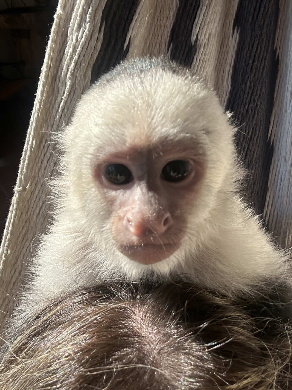 Baby.Suni (@baby.suniii) - Urlebird