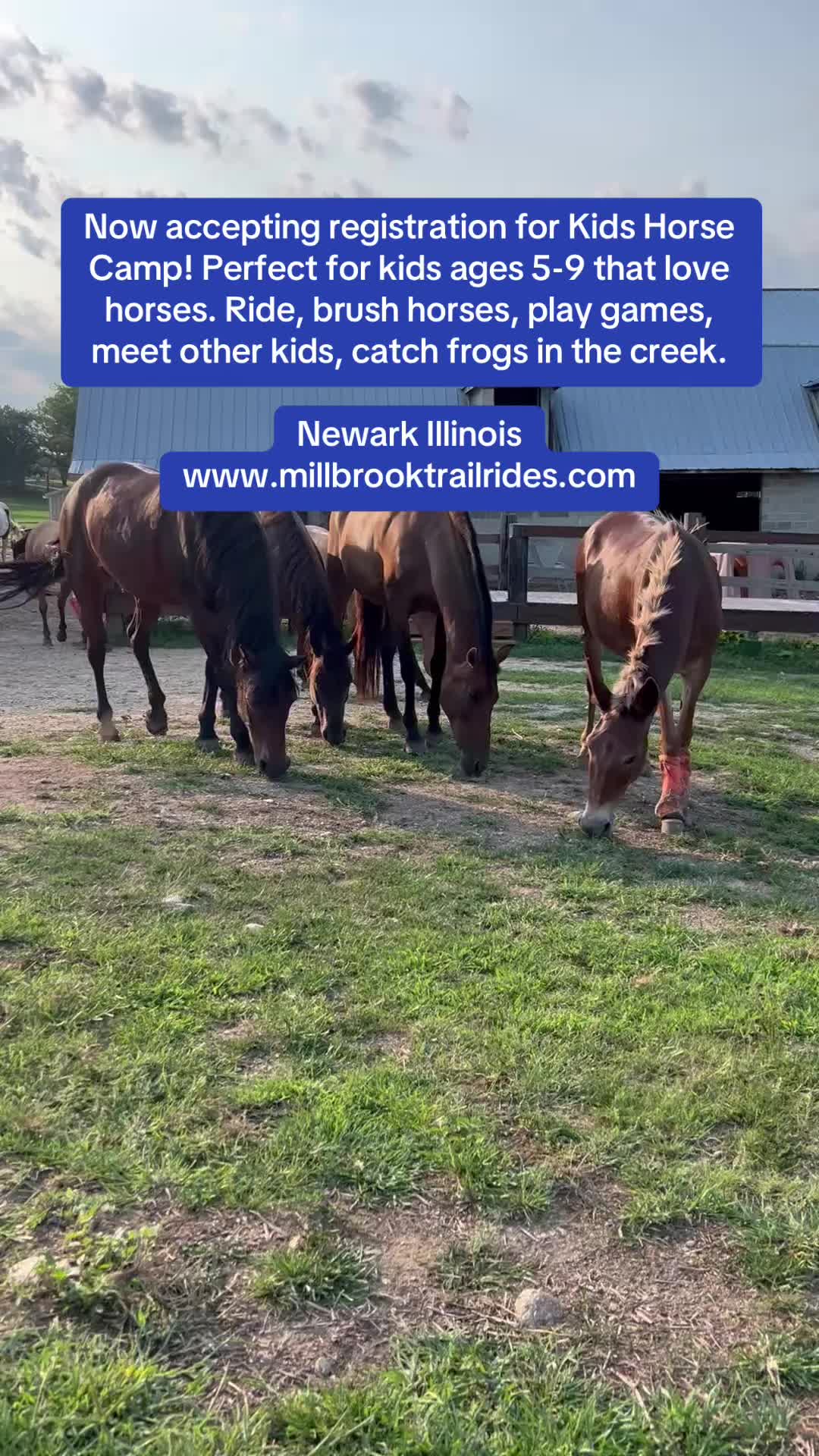 Millbrook Trail Rides (@millbrooktrailrides) - Urlebird
