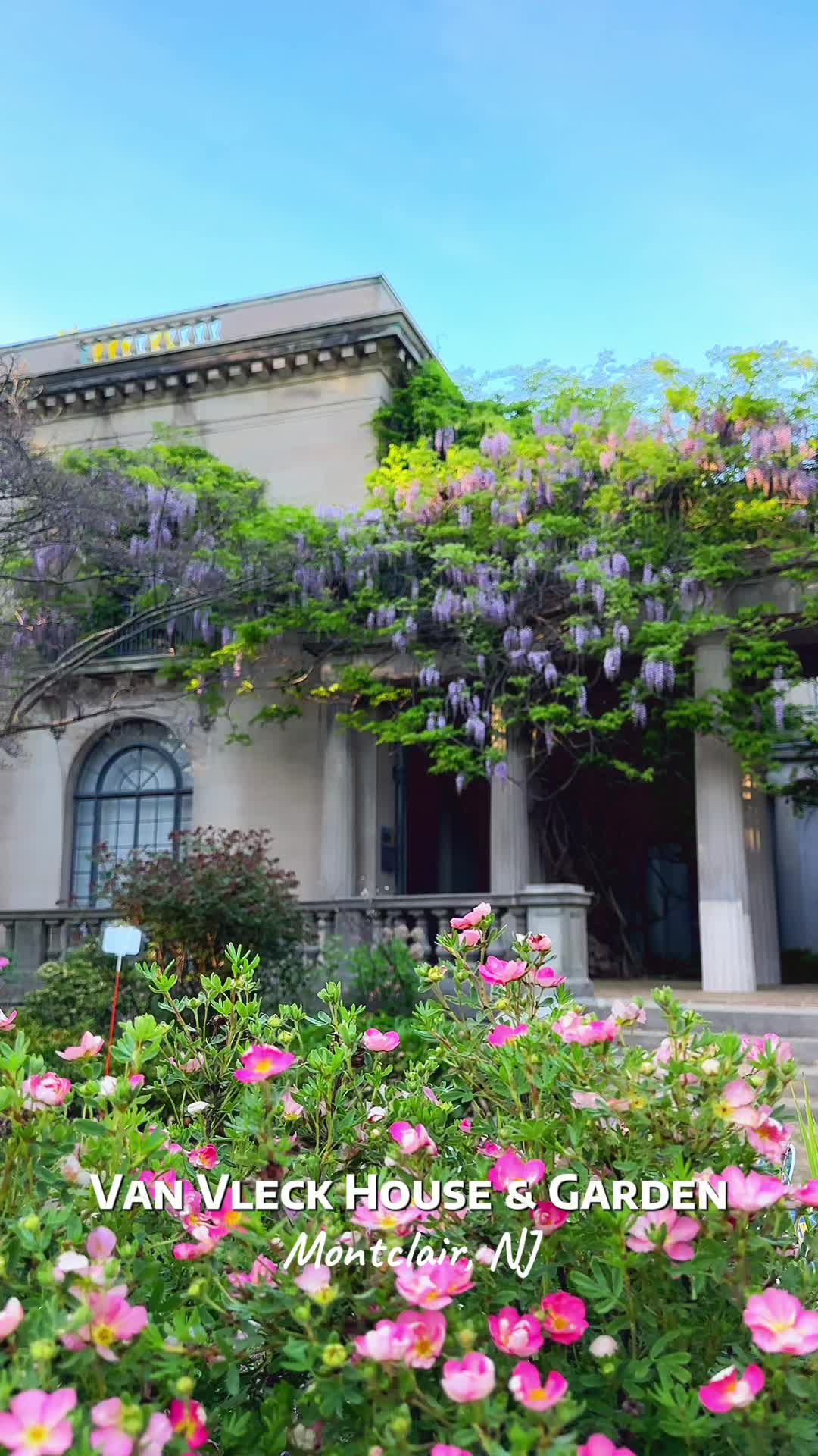 tutorial on how to REMOVE your ARMS AND | chronic • dti tutorials ...