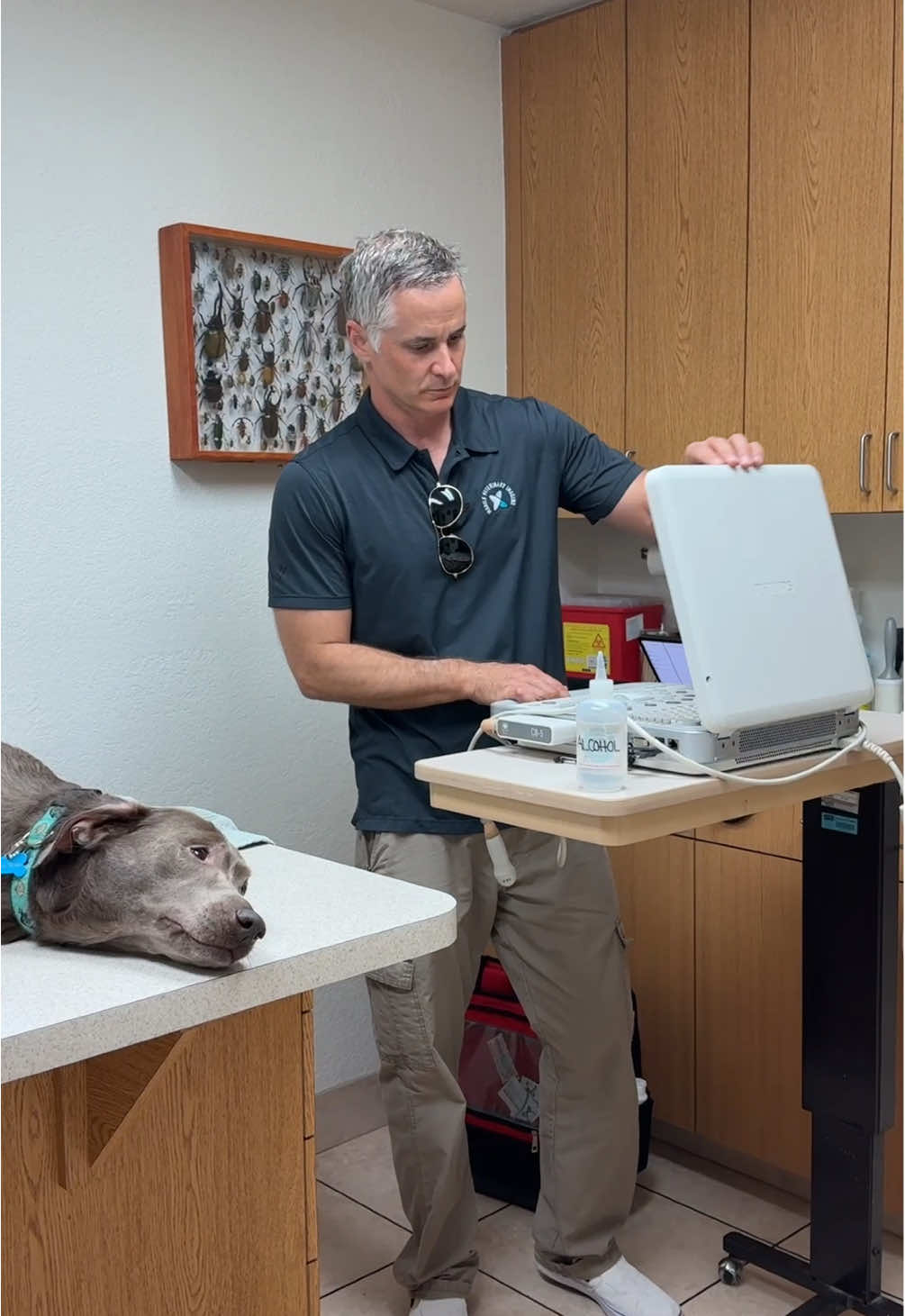Mobile Veterinary Imaging (@mobileveterinaryimaging) - Urlebird