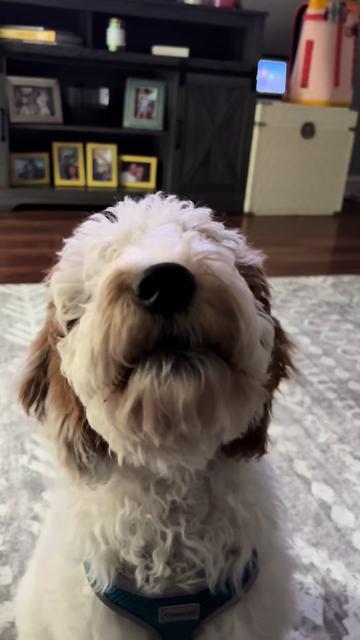 SPOILERS!! The cast of Downton Abbey: | HuffPost UK (@huffpostuk)