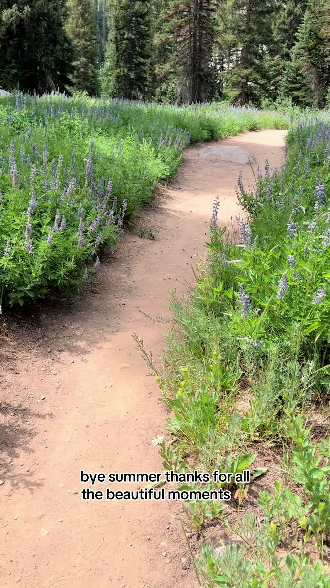 mimi jones 🍉 (@mccandliss182) - Urlebird