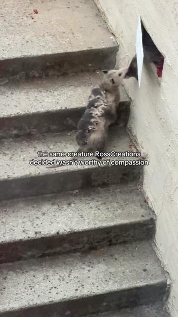 When he met my family for the first | There’s Something About Eri ...