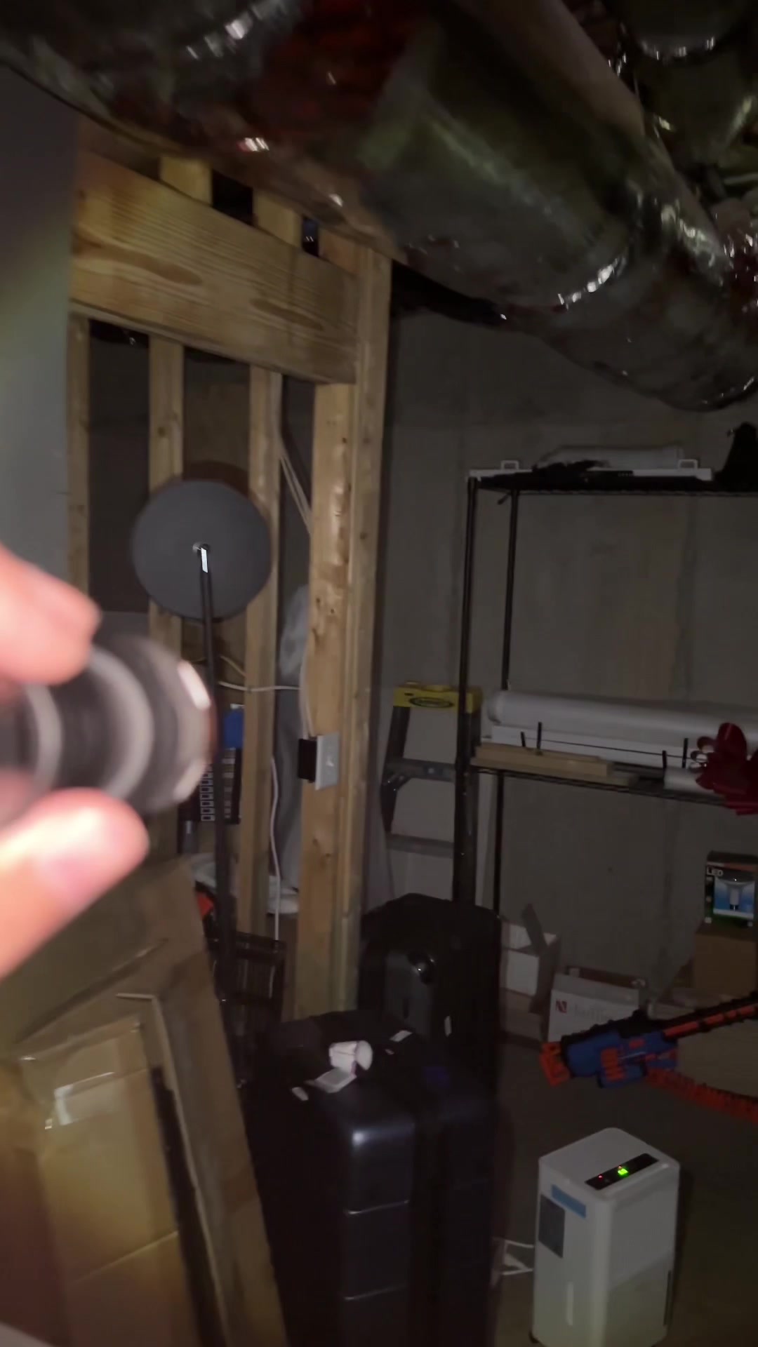 alwayssofia (@sofiasfunlittlesecret) - Urlebird