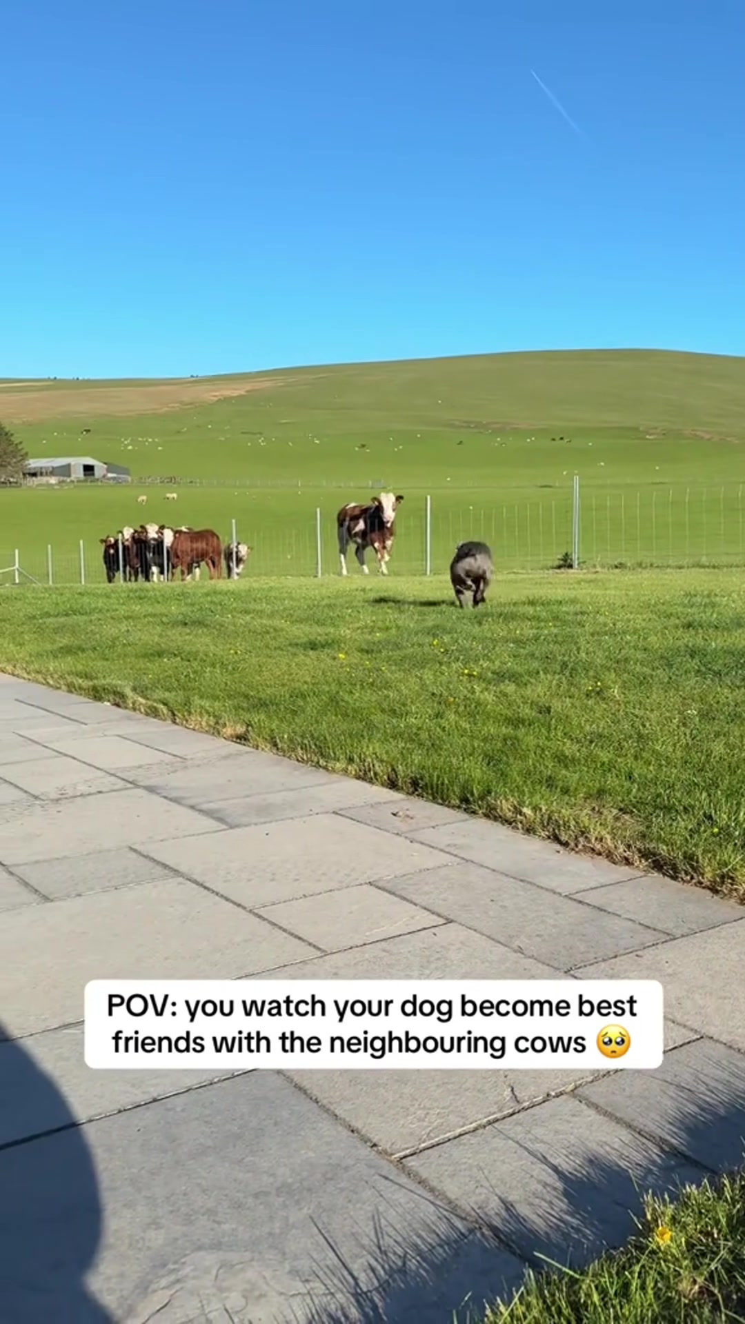 #animation #originalcharacter #art | toix22 (@toix22)