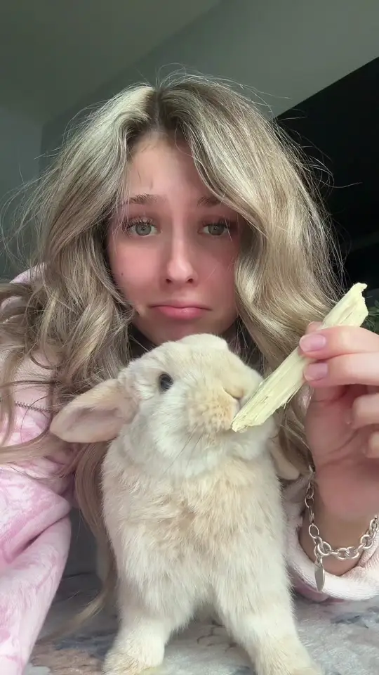 Jess🤍 (@jessgeng) - Urlebird