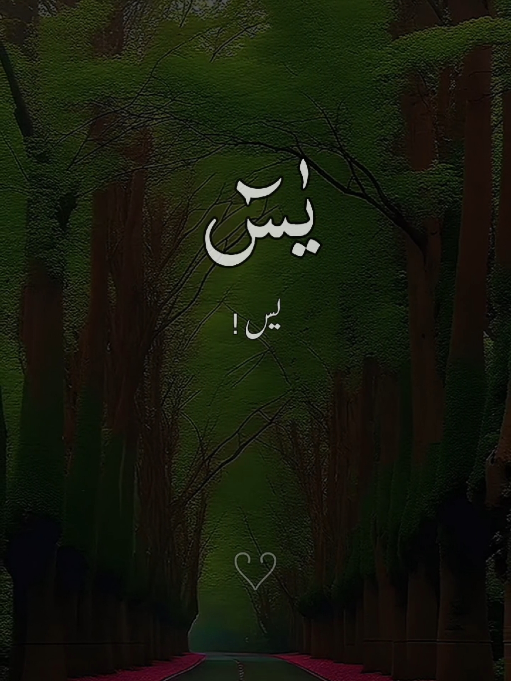 Surah Yaseen with Urdu translation | 🌹🖋📖 اِقۡرَاۡ 📖🖋🌹 (@islamic.account ...