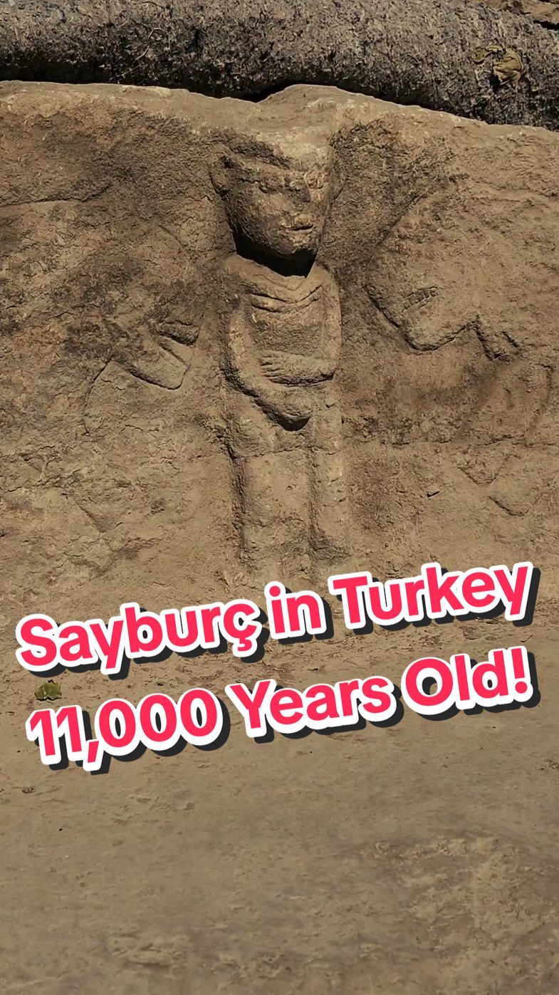 🦄 @historywithkayleigh - History With Kayleigh🇳🇱 - TikTok