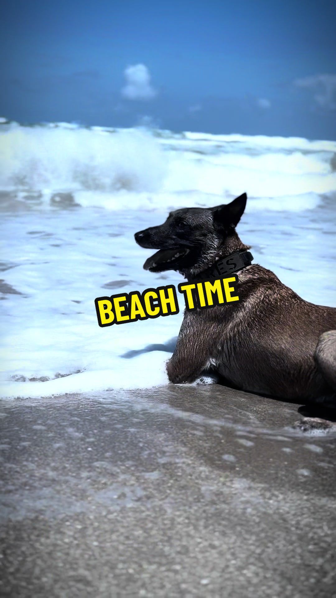 CERBERUS | Michael Rogosin (@shades_of_cerberus) - Urlebird