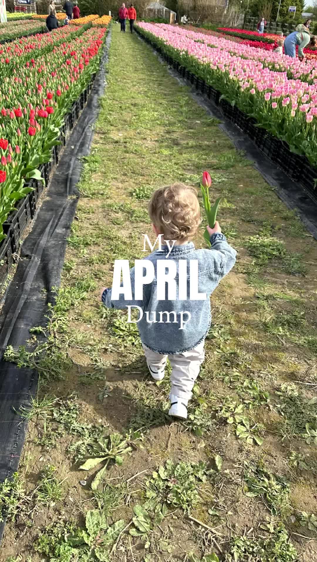 Ashlee Louise (@ashlee_louise) - Urlebird