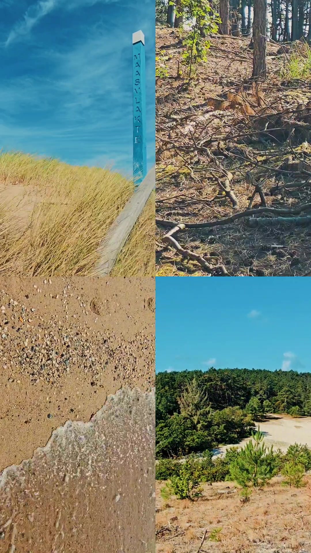 🦄 @historywithkayleigh - History With Kayleigh🇳🇱 - TikTok