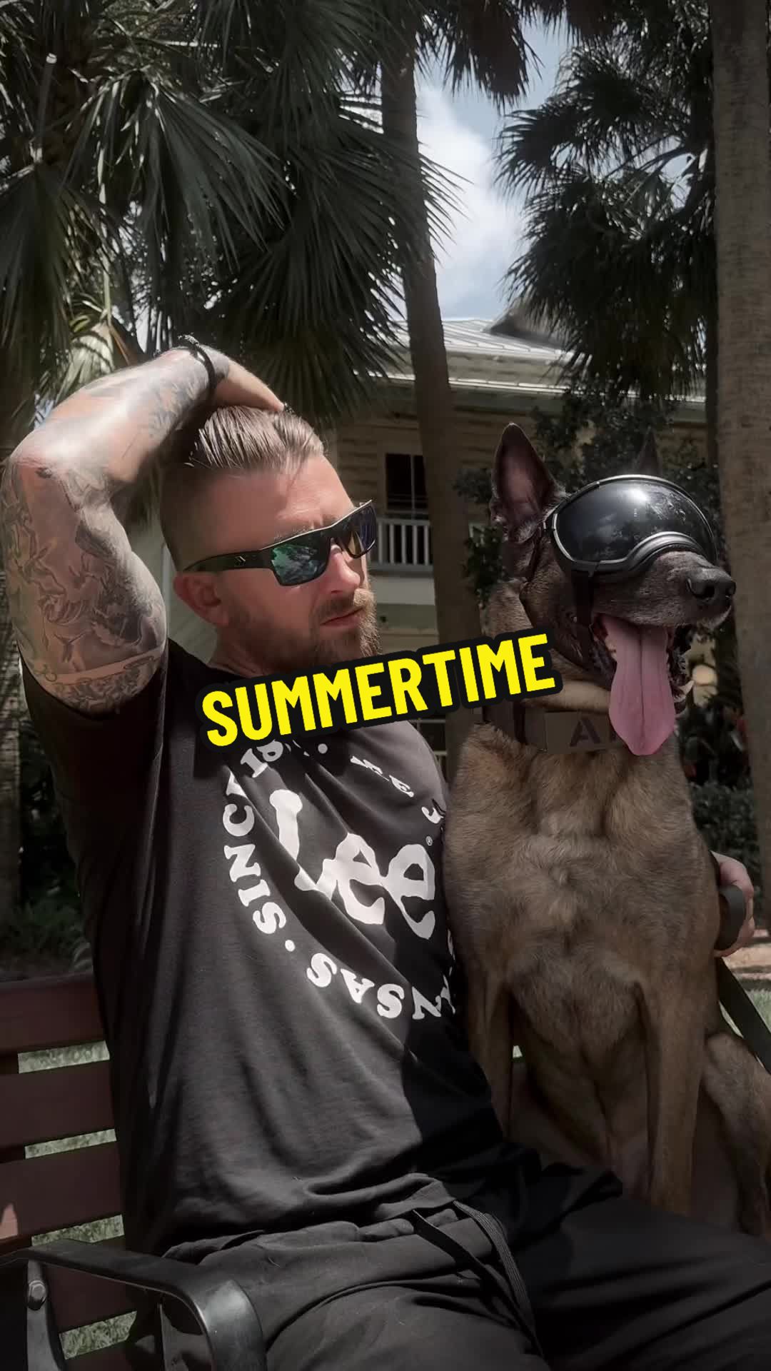 CERBERUS | Michael Rogosin (@shades_of_cerberus) - Urlebird