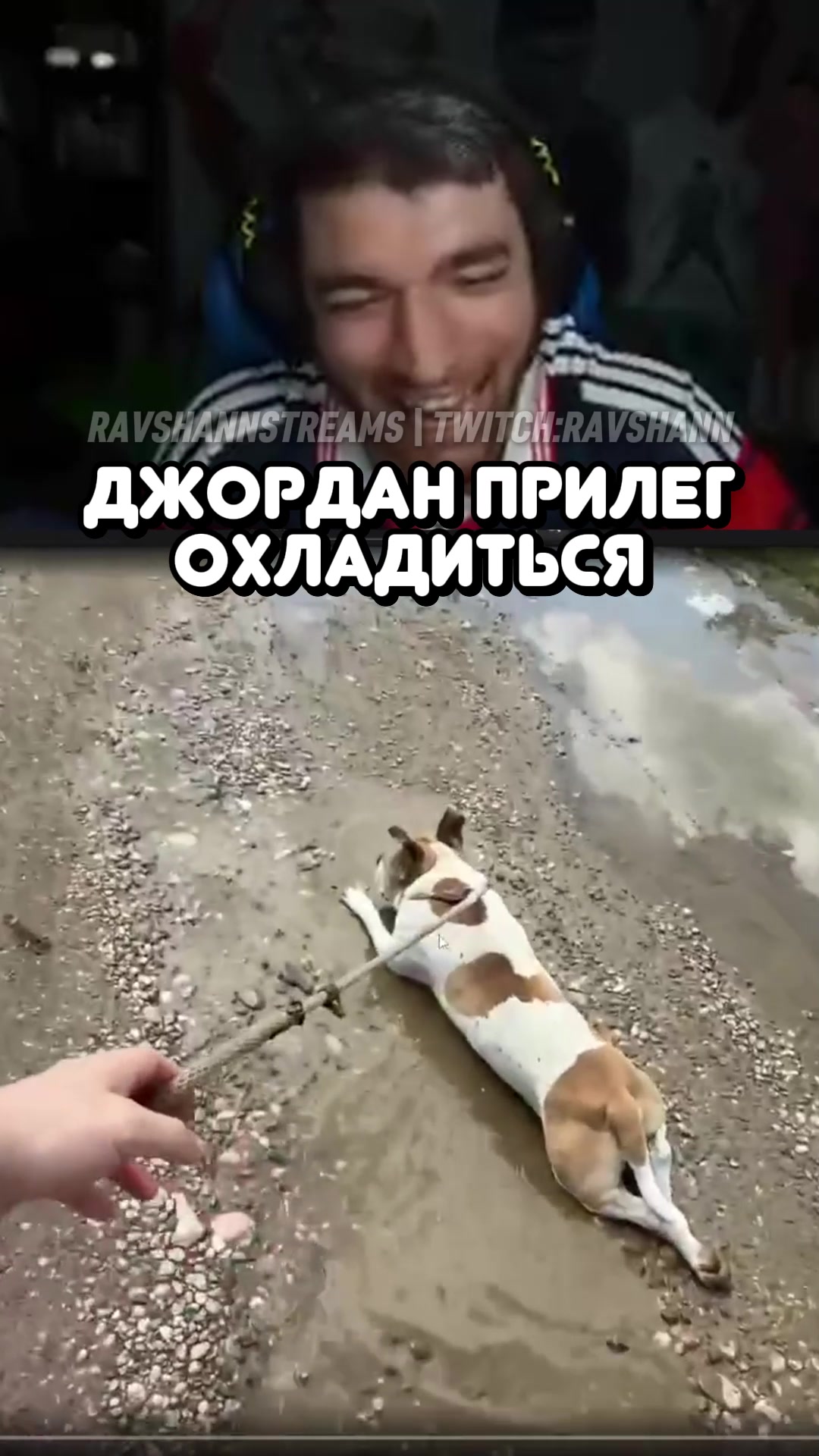 twitch: ravshann #равшан #стая | ravshannstreams (@ravshannstreams)