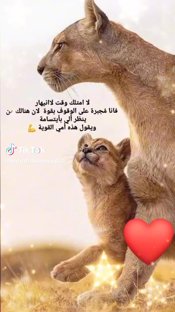 lkj mnbv (@lkjmnbv) - Urlebird