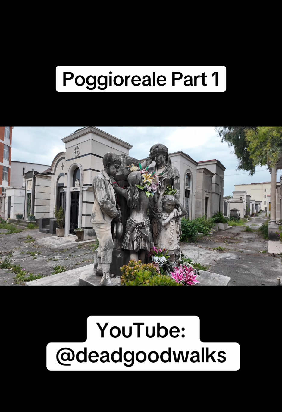 Dead Good Walks 💀 (@deadgoodwalks) - Urlebird