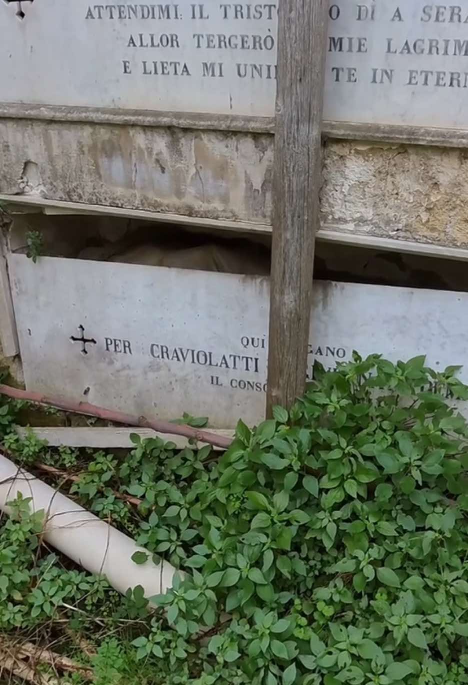 Dead Good Walks 💀 (@deadgoodwalks) - Urlebird