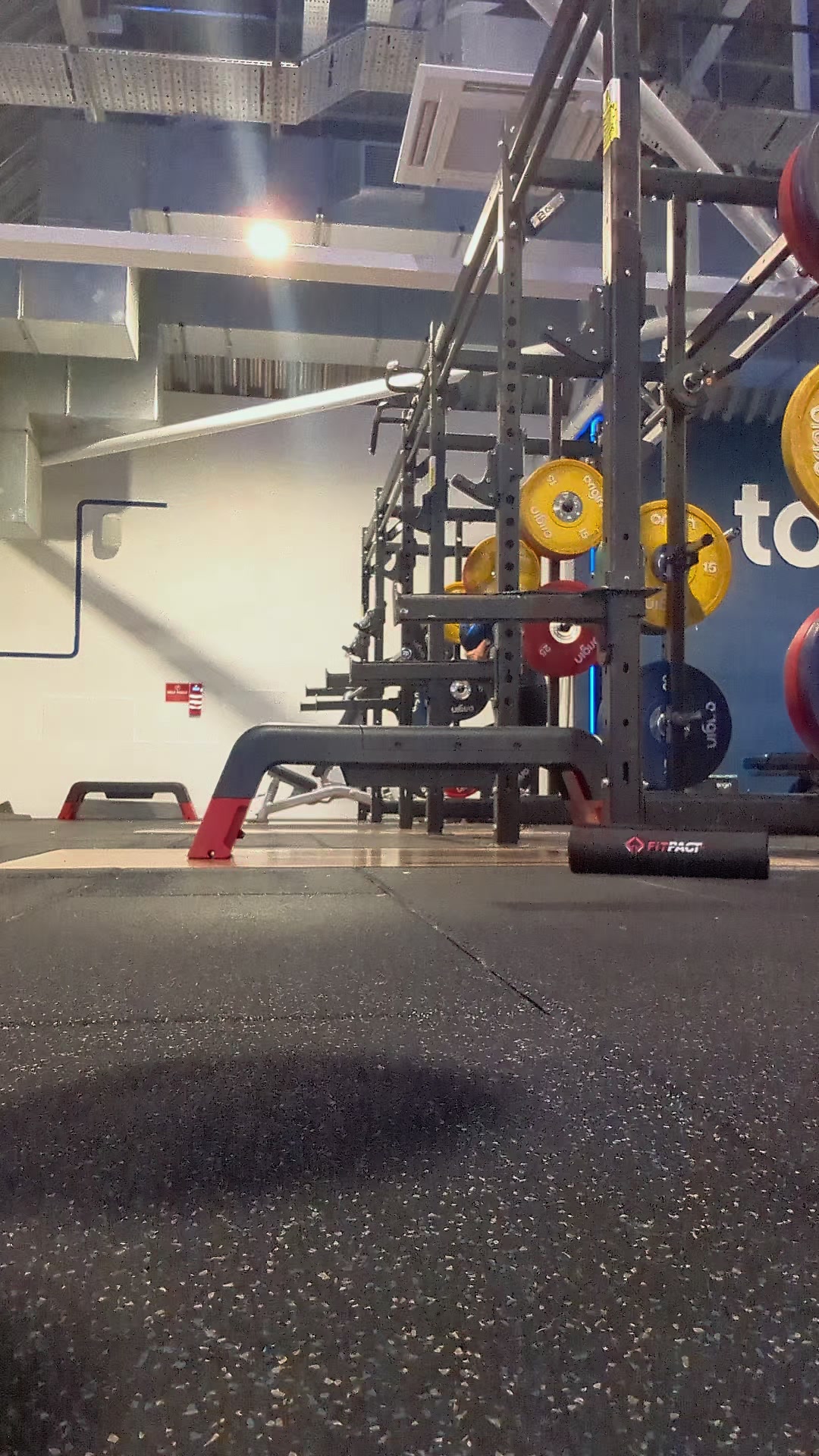 Victoria Rae Matthews (@vicraee) - Urlebird