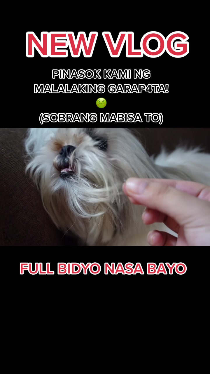 ANG LALAKI!!! ANO NGA BA ANG MABISANG | SHANG POOCHES ONLINE SHOP ...