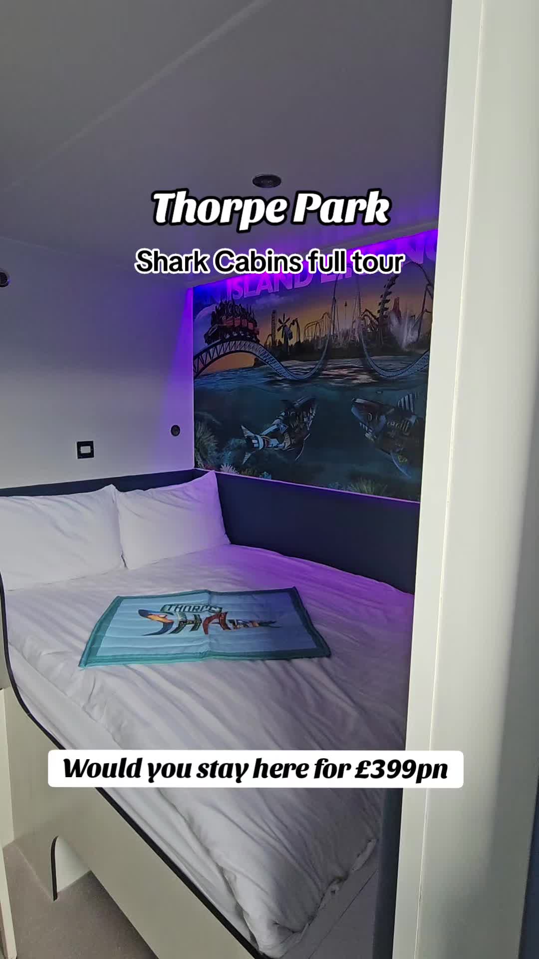 Lets take a look inside the Shark | Shannon | Travel & Lifestyle🛩 ...