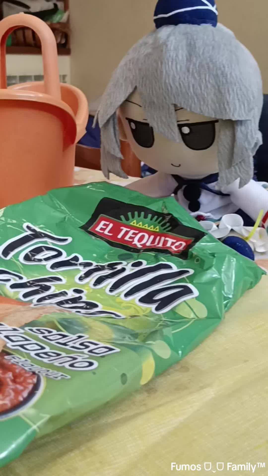 I caught Futo eating my tortilla chips | 𝐹𝑢𝑚𝑜𝑠 ᗜˬᗜ 𝐹𝑎𝑚𝑖𝑙𝑦™ (@fumosfamily)
