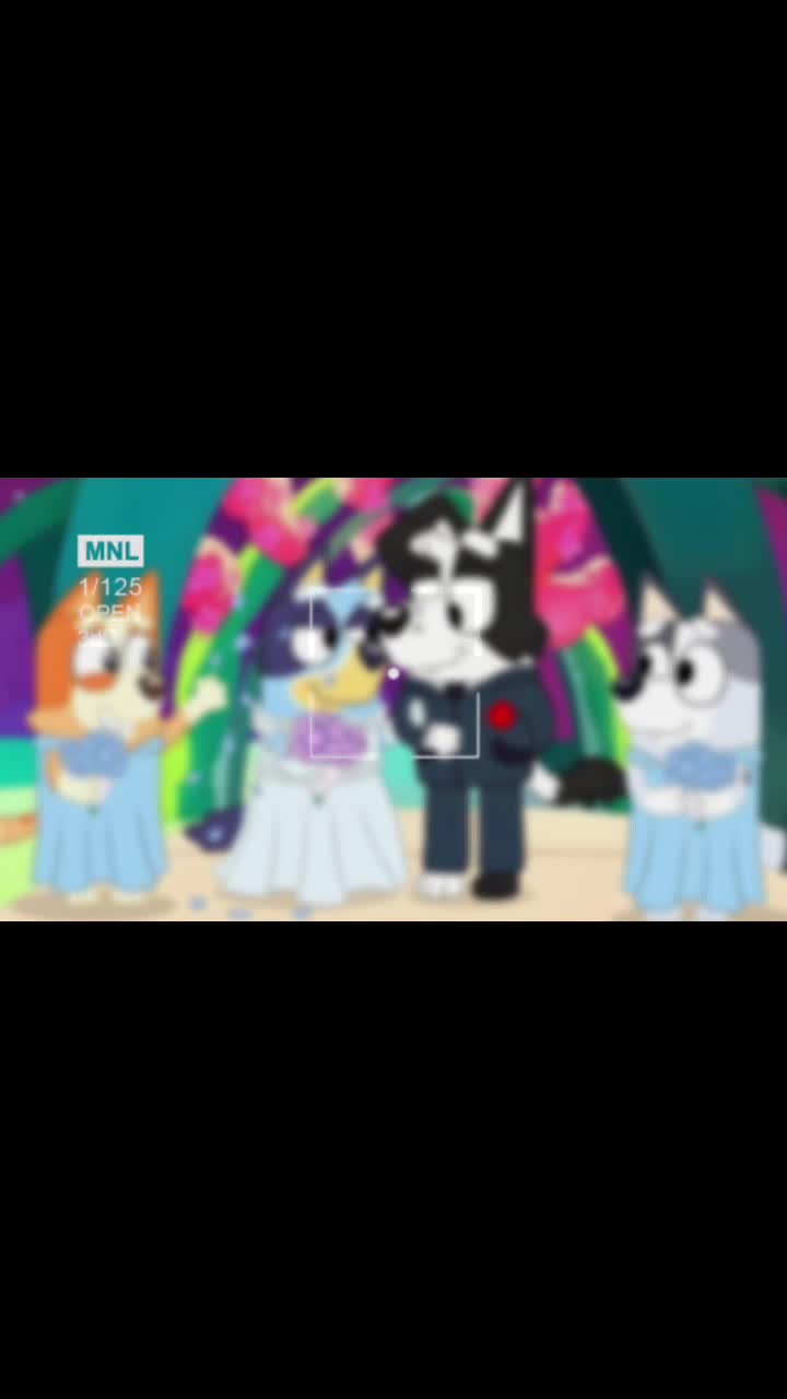 Bluey married Mackenzie and bingo and | Bluey# Anna iris (@user093487275)