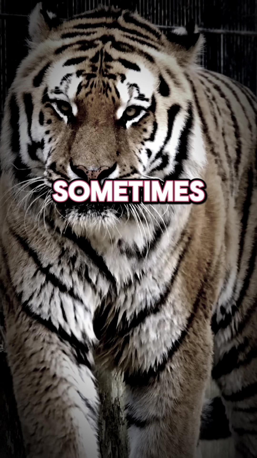 Best Motivational Quote | Deep Reflections (@deep_reflections_)