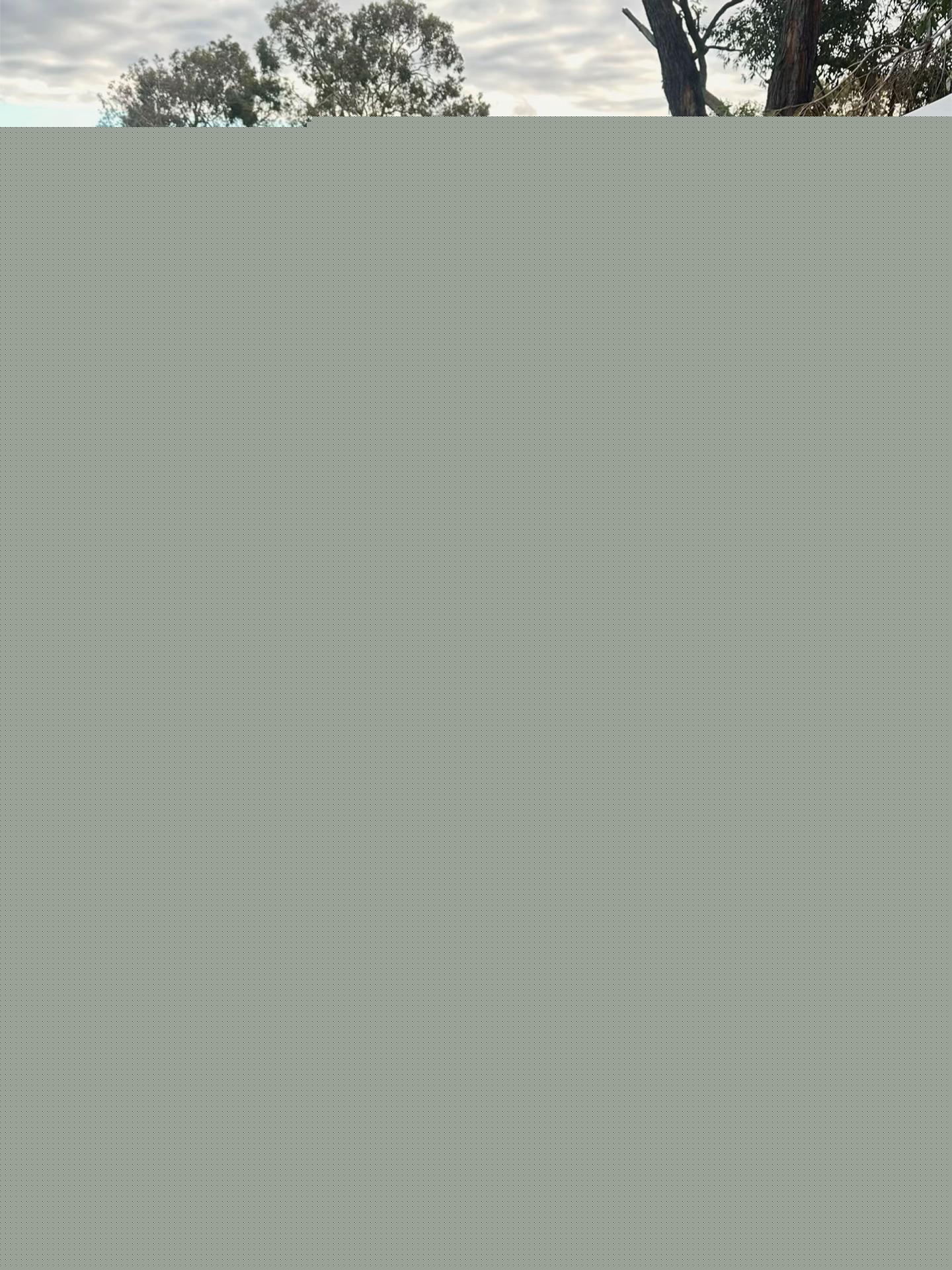 Yapinator 3000 (@nonexistentearthling) - Urlebird