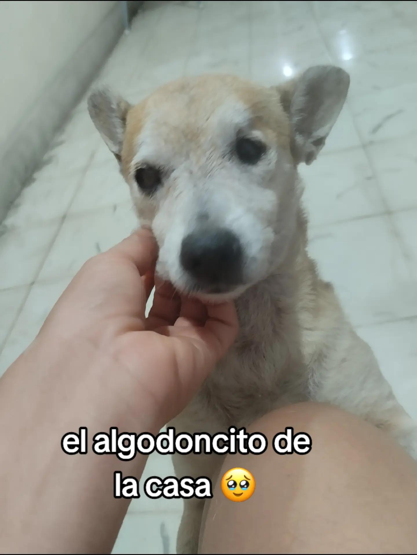 Miss Ary (@miss_ary24) - Urlebird