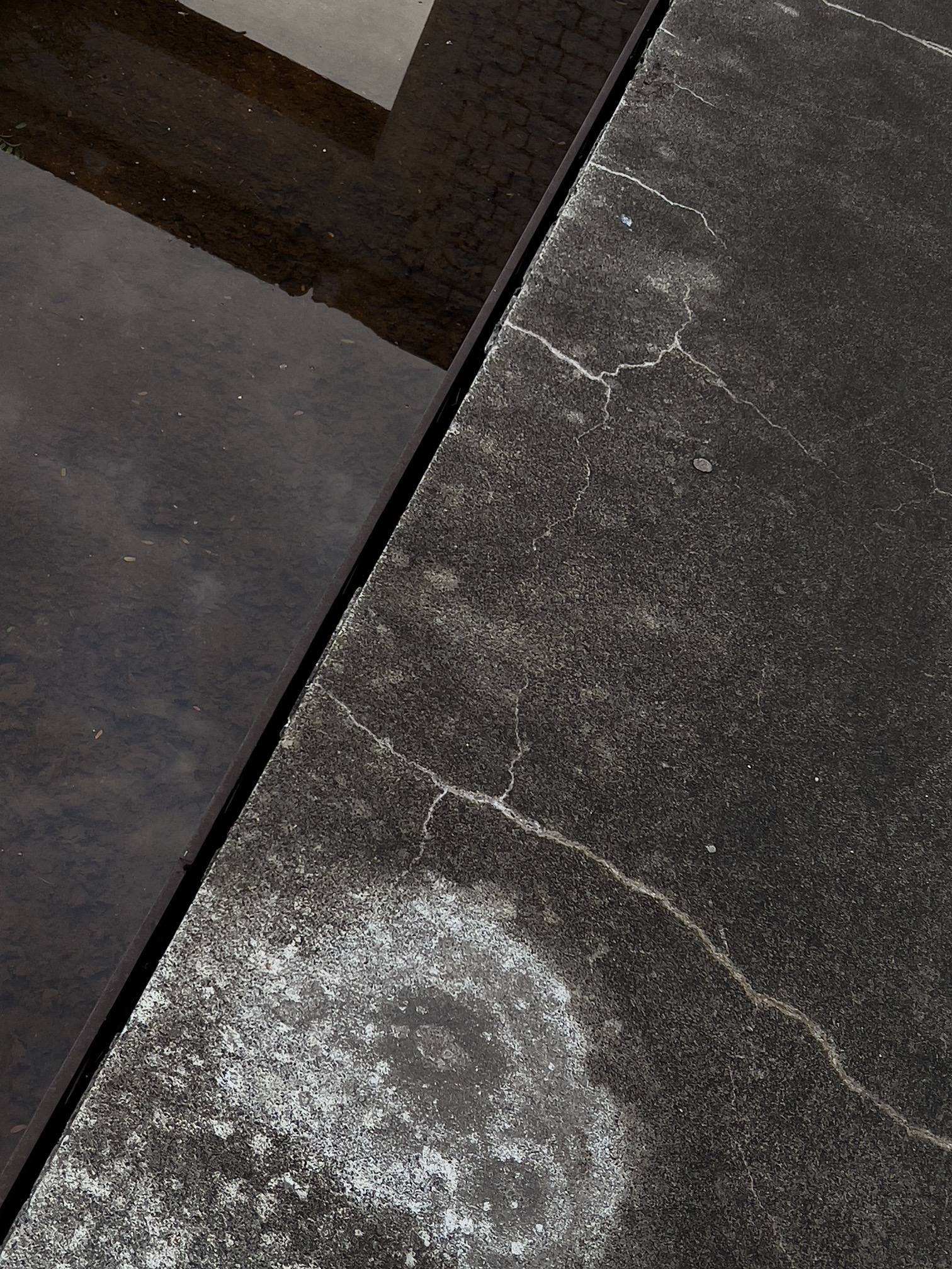 🦄 @xiunice_ - Denise - TikTok