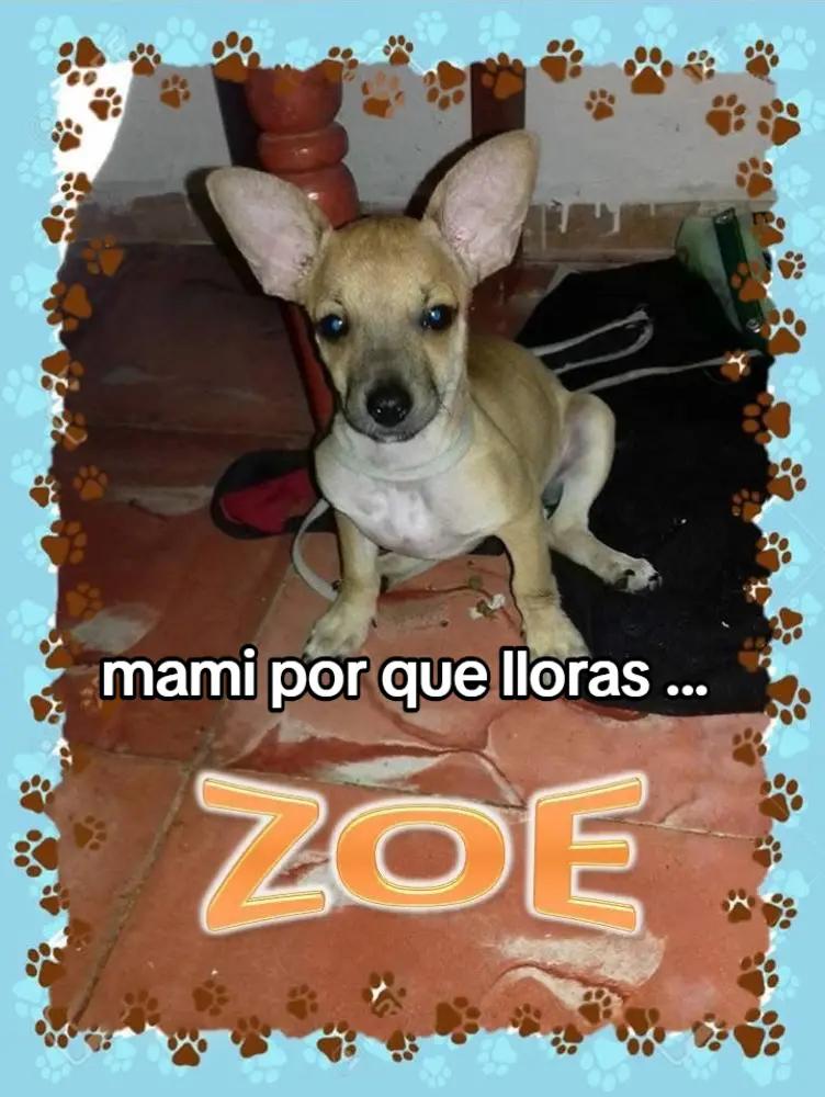 Miss Ary (@miss_ary24) - Urlebird