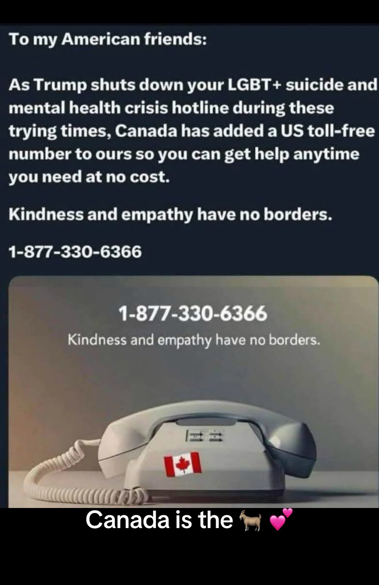 Bella (@bella_taunt) - Urlebird