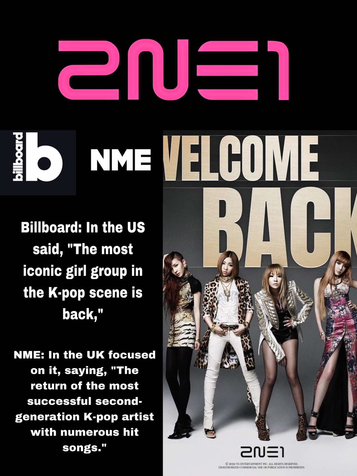 🦄 @2ne1_blackjackk - 2NE1 Nolza - TikTok