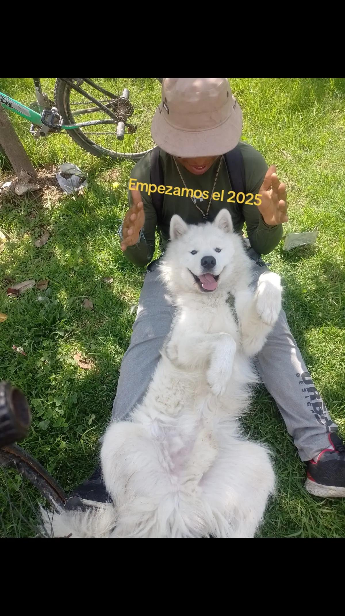 Asi empezamos el 2025, con mas paseos y | ZONIX (@zonixurbano)