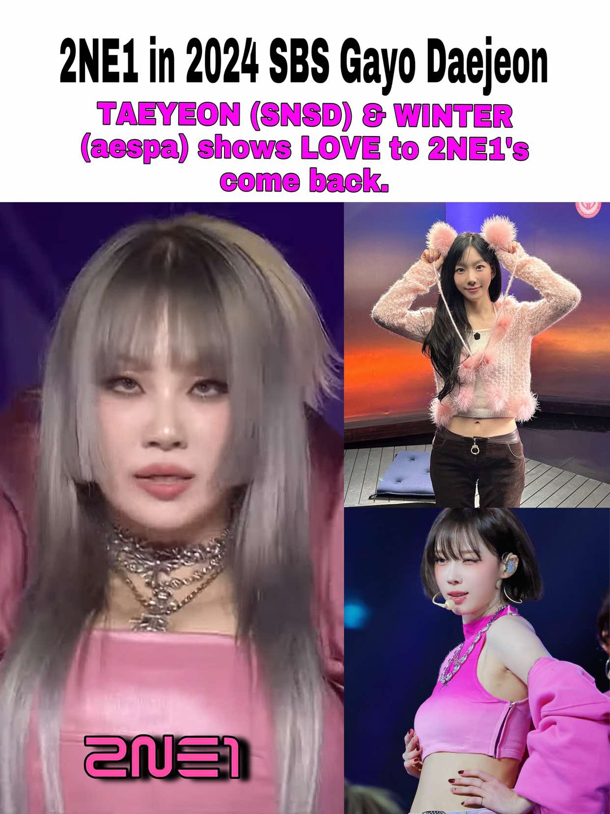 2NE1 - Taeyeon of SNSD & Winter | 2NE1 Nolza (@2ne1_blackjackk)