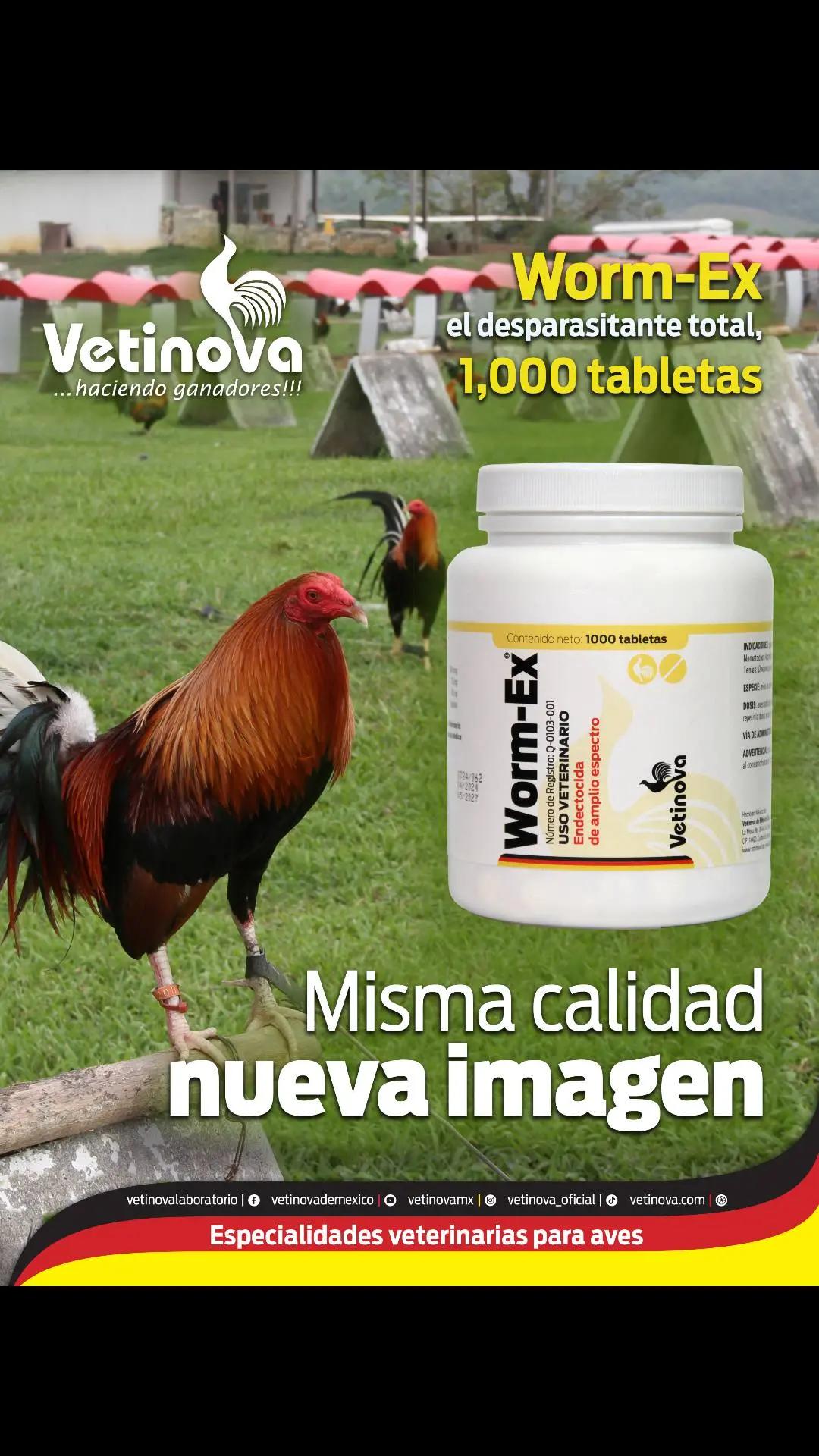Worm-Ex 1000 tabletas Si necesitas para | vetinova_oficial (@vetinova_oficial)