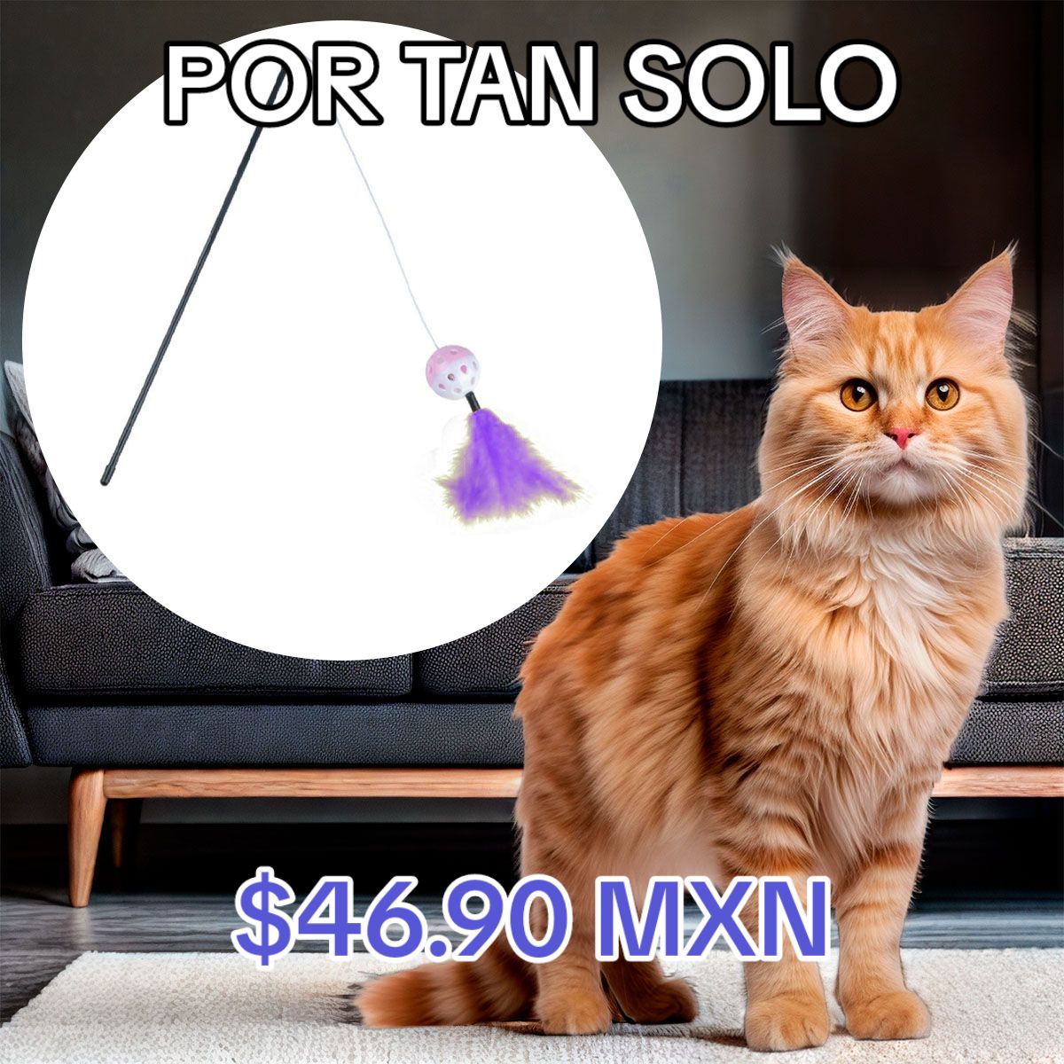 Conoce nuestro nuevo producto para tus | Yasuhisa (@yasuhisamx)